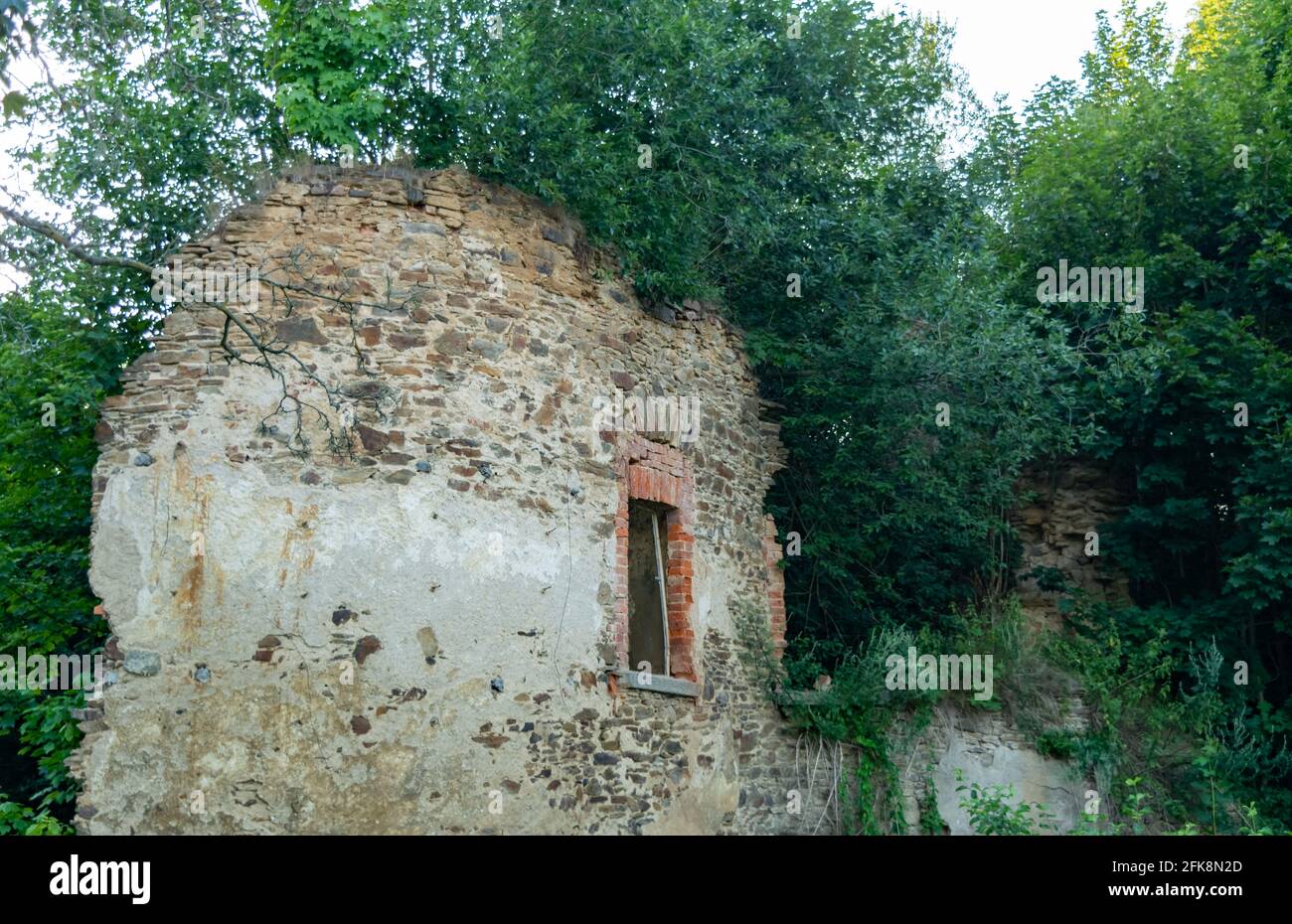 Abandoned ruins of a medieval building outgrown with plants Stock Photo ...