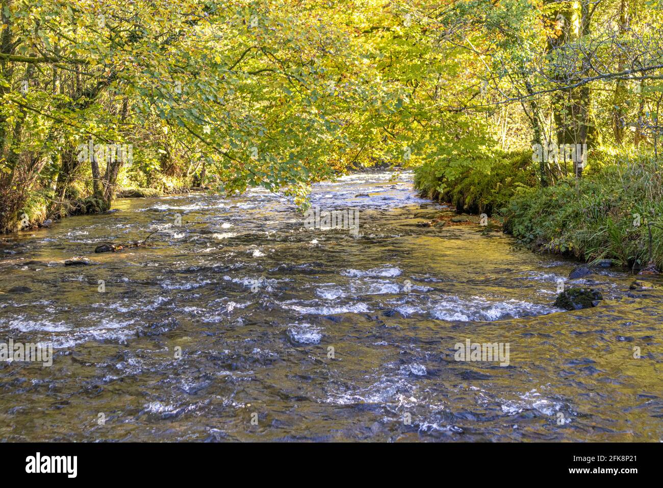 The River Barle on Exmoor National Park just downstream of Tarr Steps ...