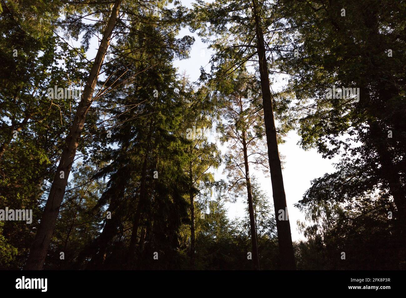 Enviroment england hi-res stock photography and images - Alamy