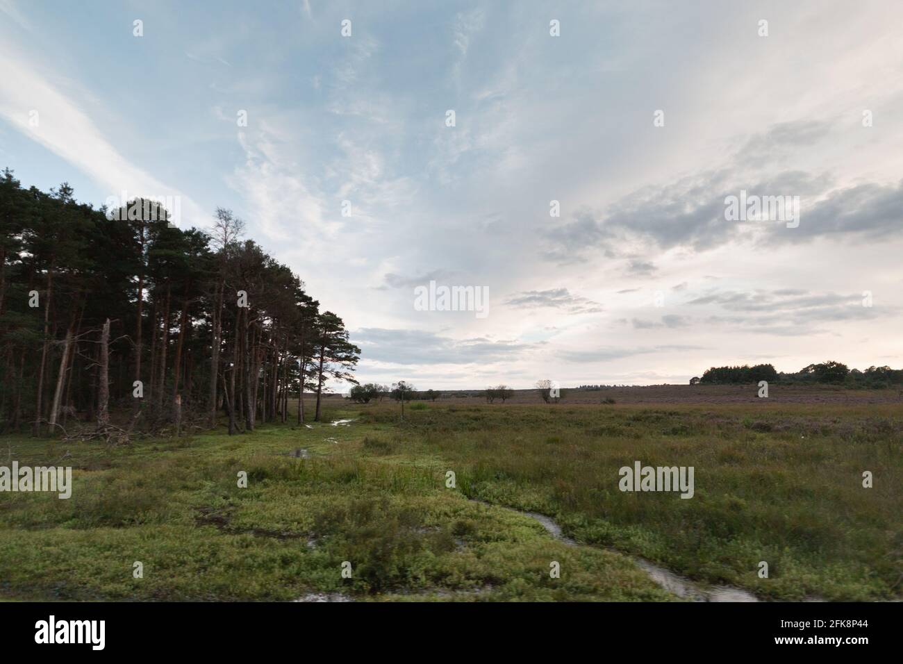 New grove meadow uk hi-res stock photography and images - Alamy