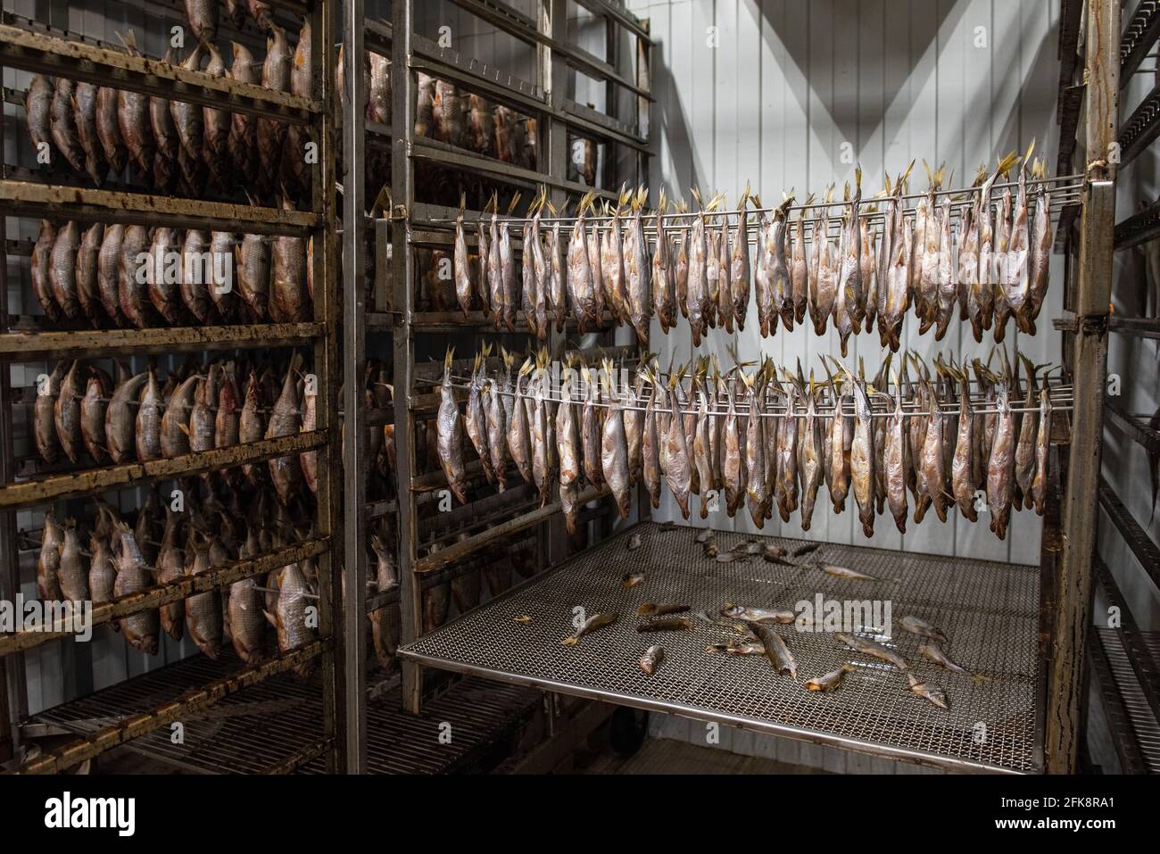 Smoked fish production concept: smoked fish in smokehouse box Stock ...