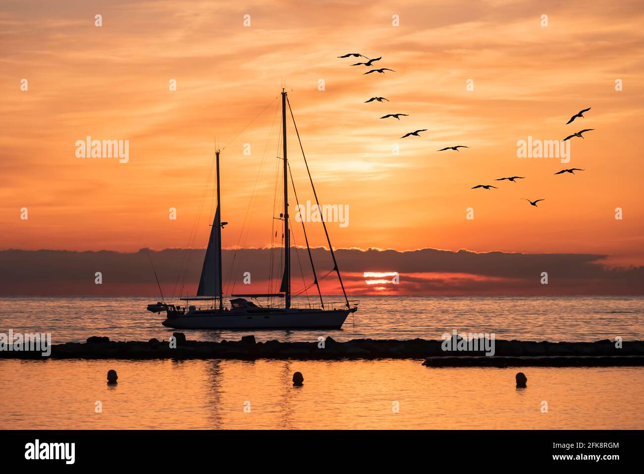 French freedom hi-res stock photography and images - Alamy