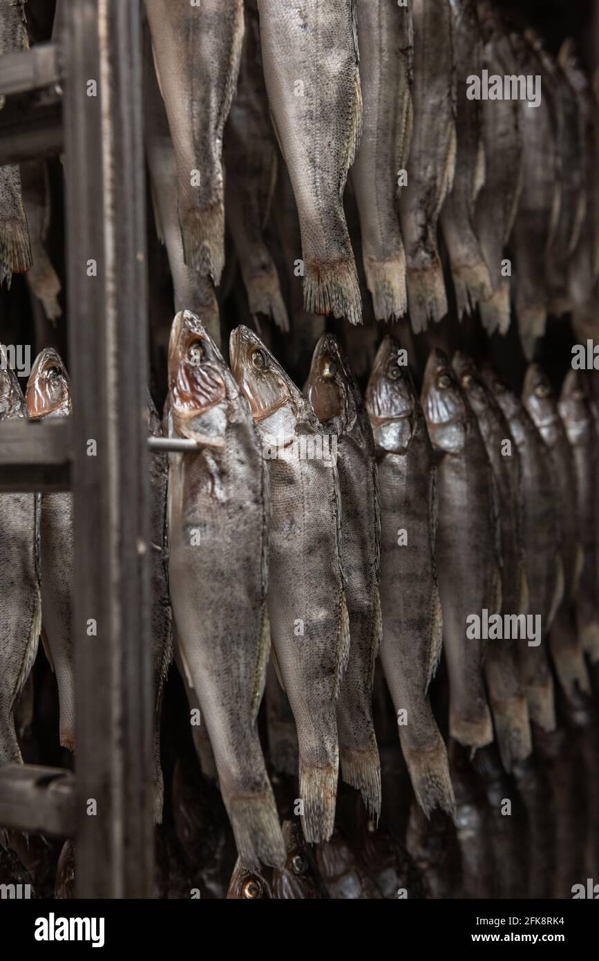 Smoked fish production concept: smoked fish in smokehouse box Stock ...