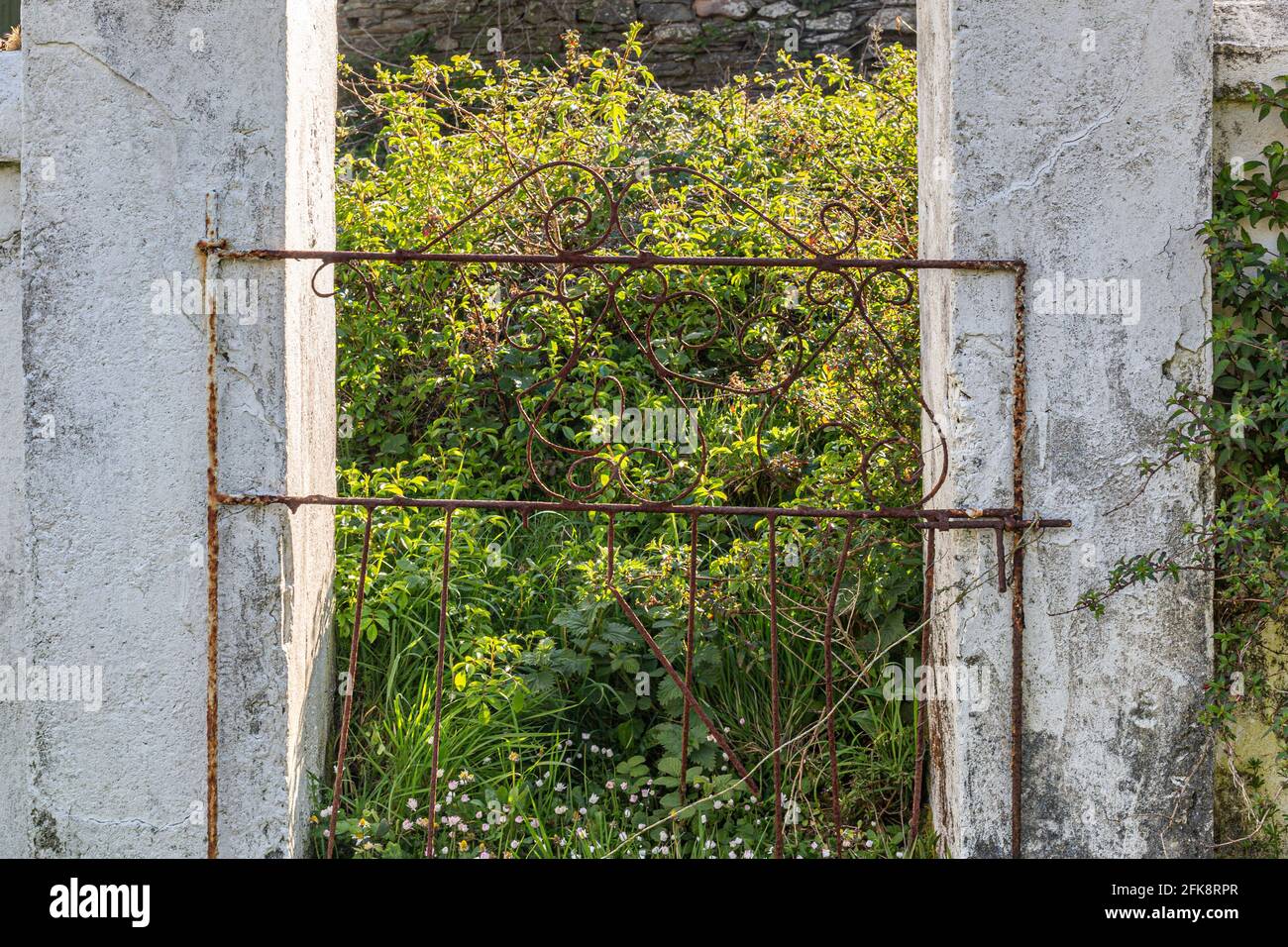 Wrought iron gates gate hi-res stock photography and images - Alamy