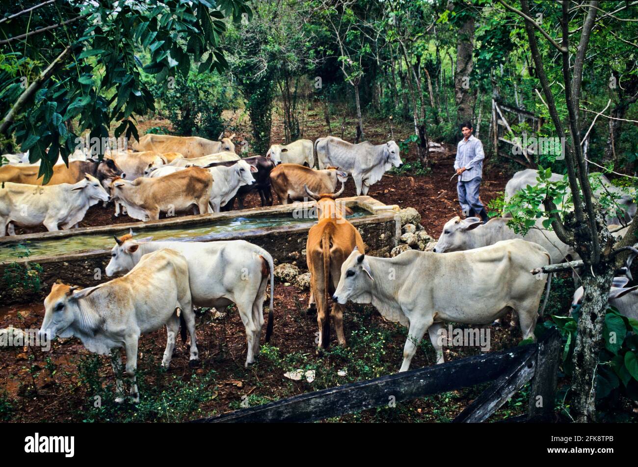 Mit campesino hi-res stock photography and images - Alamy