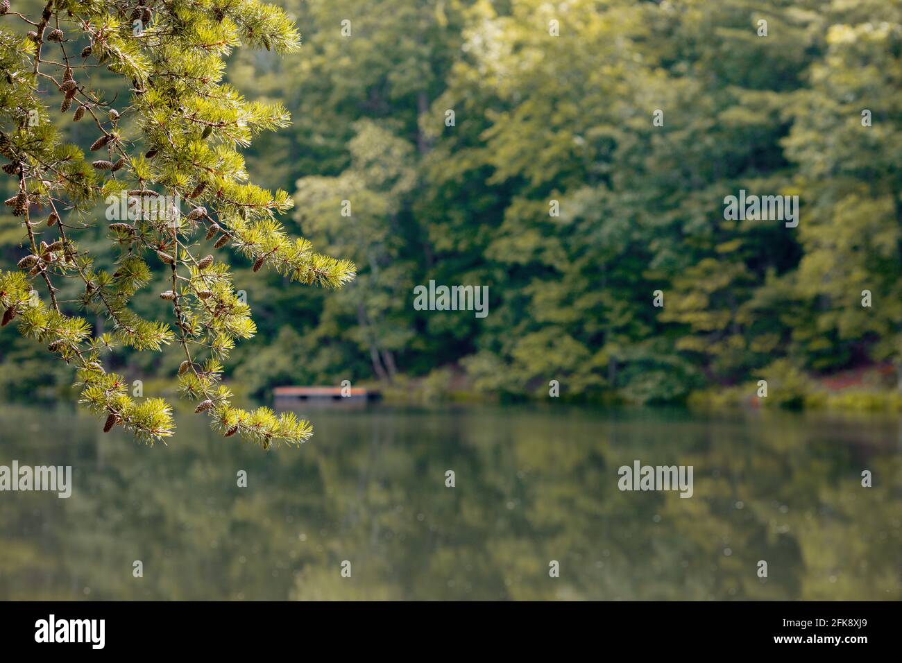 Hidden Lake in Dahlonega, Georgia Stock Photo - Alamy