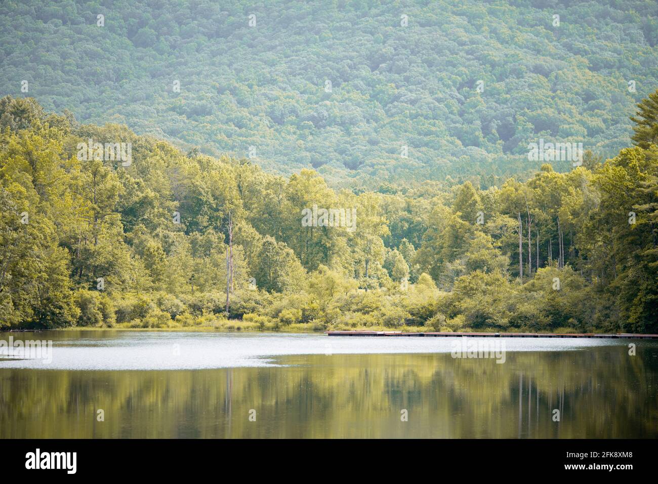 Dahlonega georgia hi-res stock photography and images - Alamy