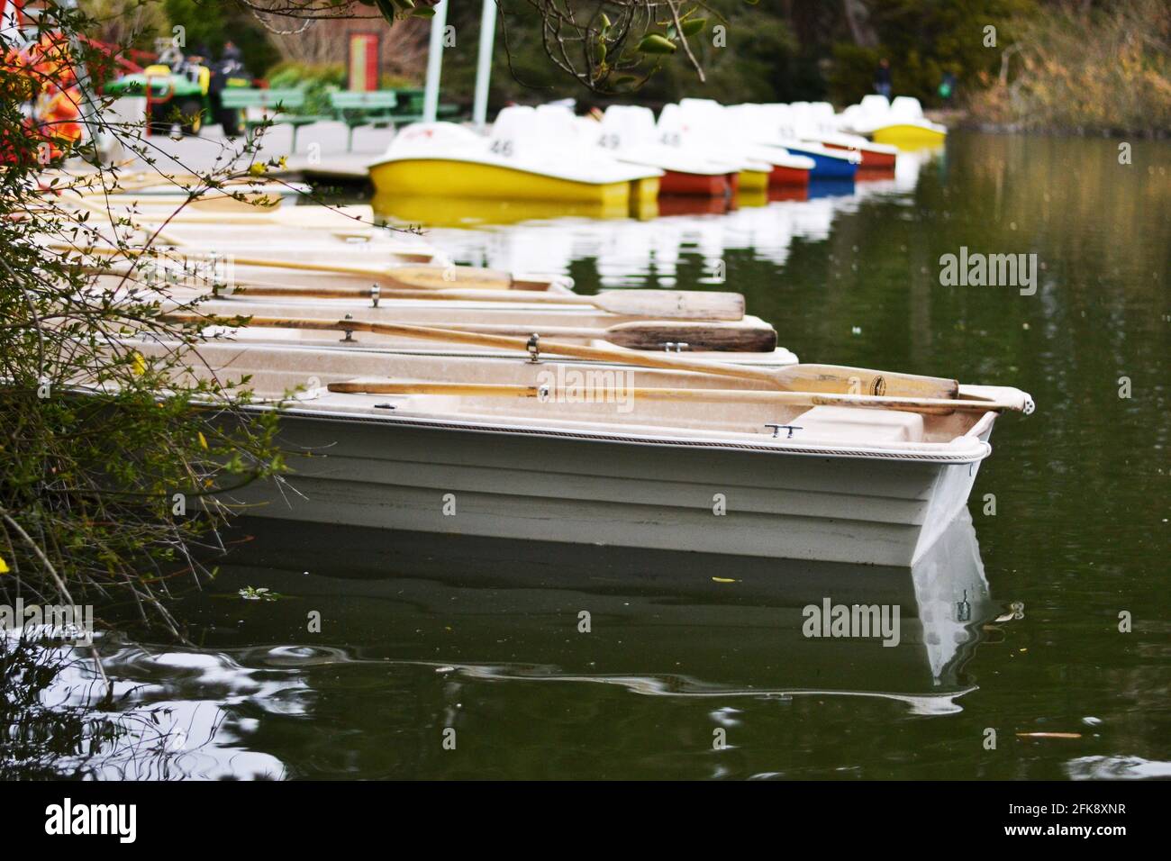 Row Boats, Stow Lake, Golden Gate Park, San Francisco, CA, USA Stock ...