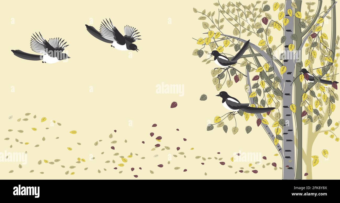 Vector banner with flying Magpies, birds on trees on autumn background ...