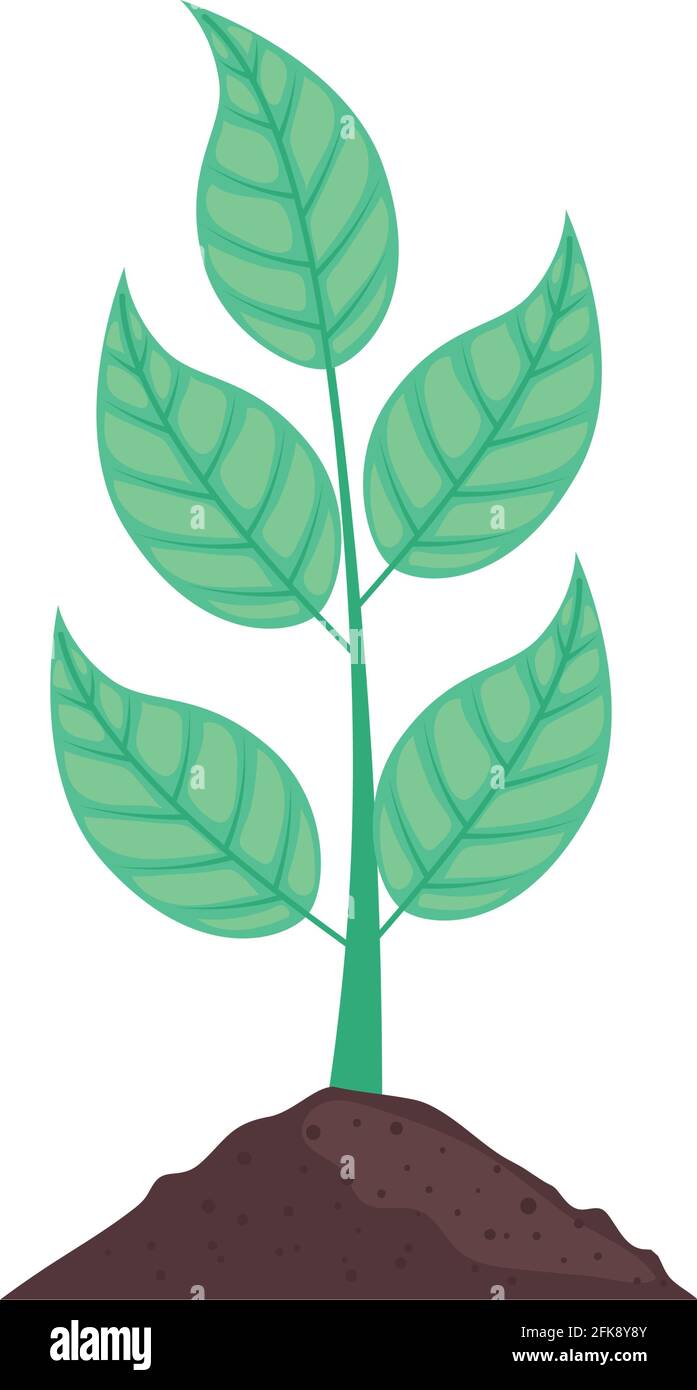 plant in ground Stock Vector Image & Art - Alamy