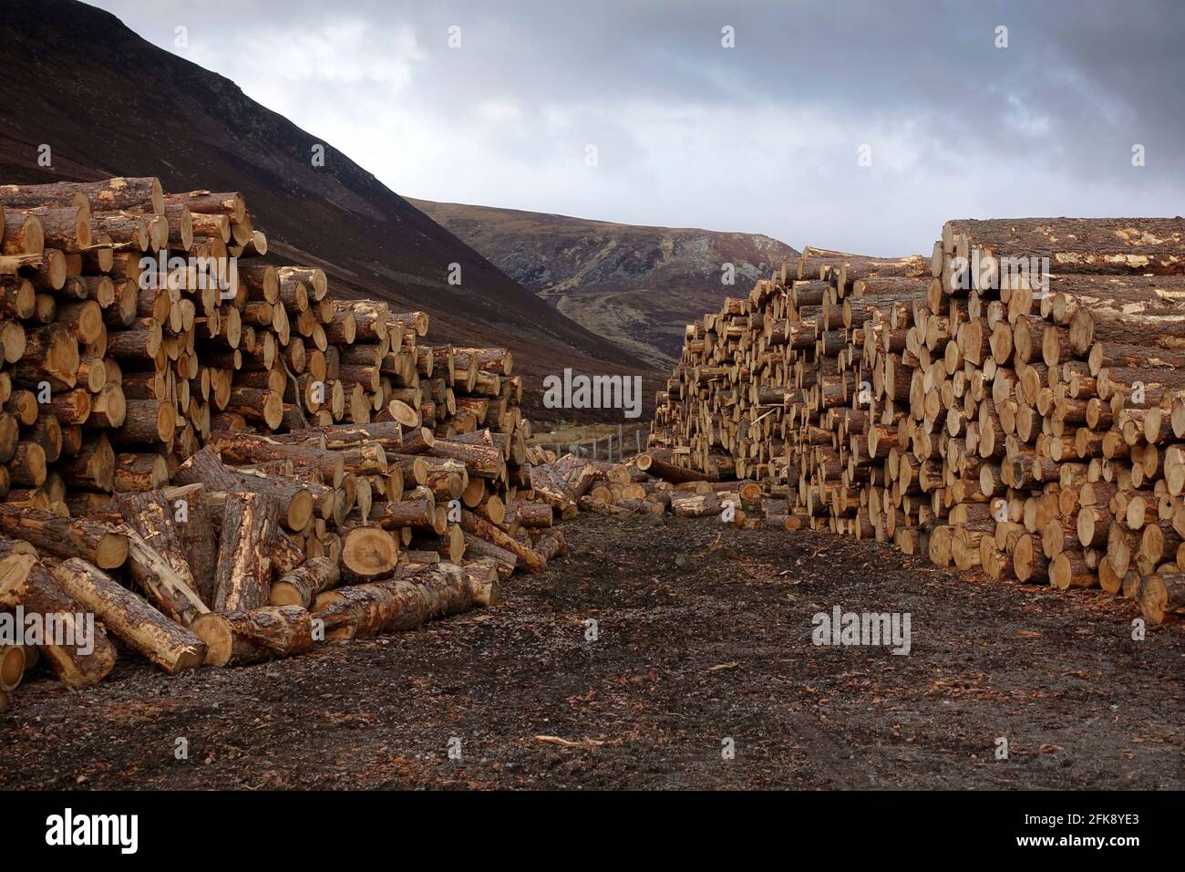 Glen Lethnot, Angus, Scotland Stock Photo - Alamy