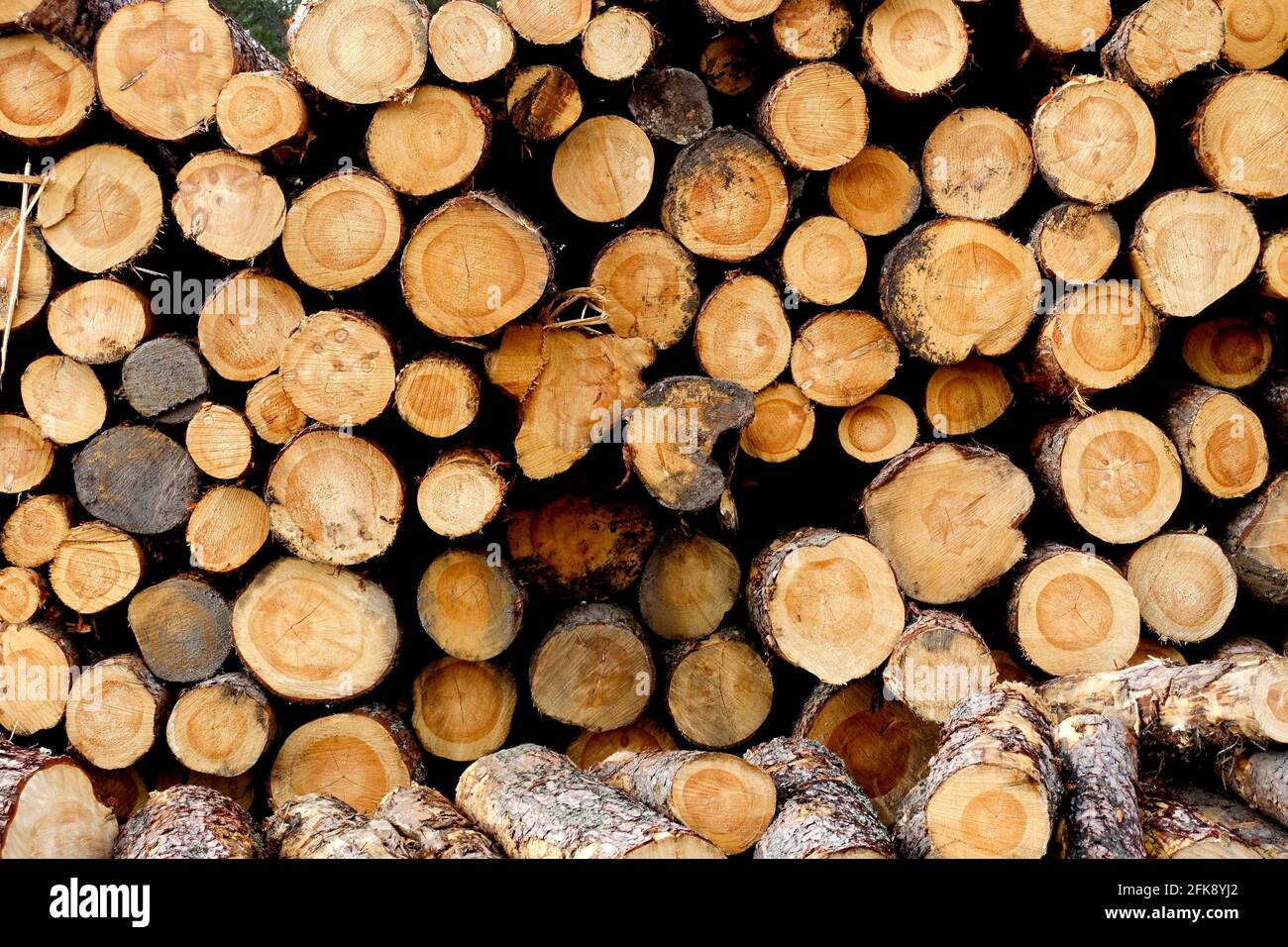 Glen Lethnot, Angus, Scotland Stock Photo - Alamy