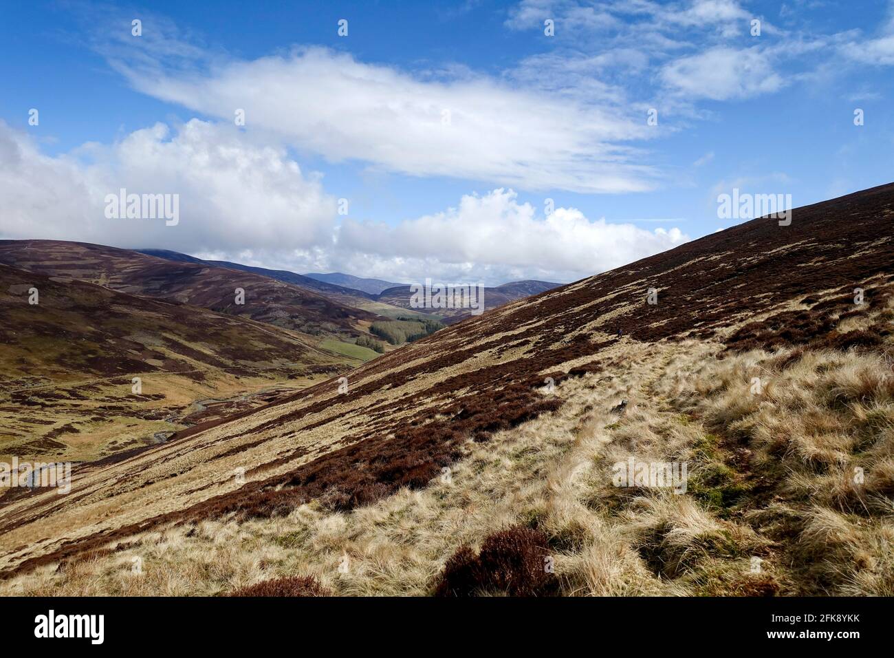 Glen Lethnot, Angus, Scotland Stock Photo - Alamy