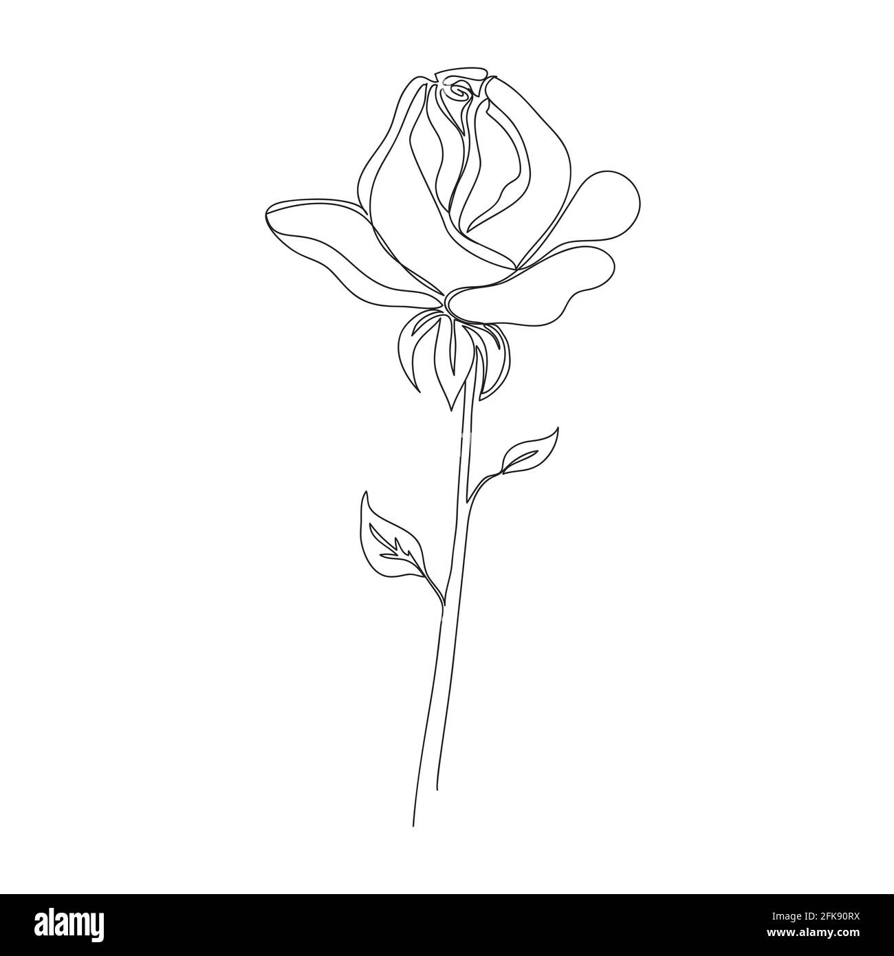 Drawings Of Roses And Banners