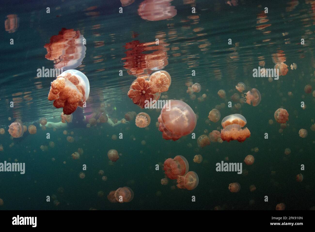 Non living things hi-res stock photography and images - Alamy