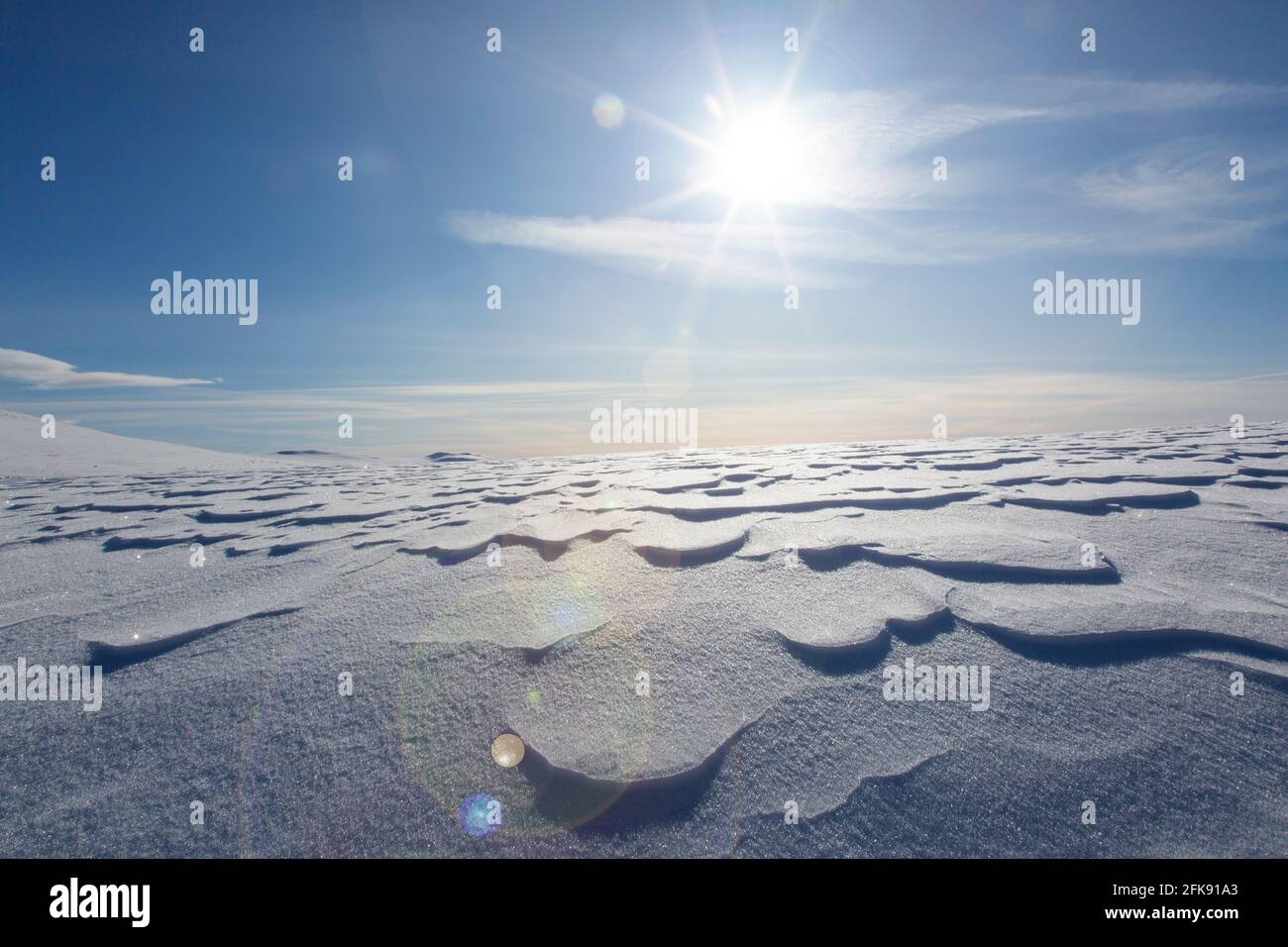 Wind-induced snow crusts on the tundra in the Dovrefjell–Sunndalsfjella ...