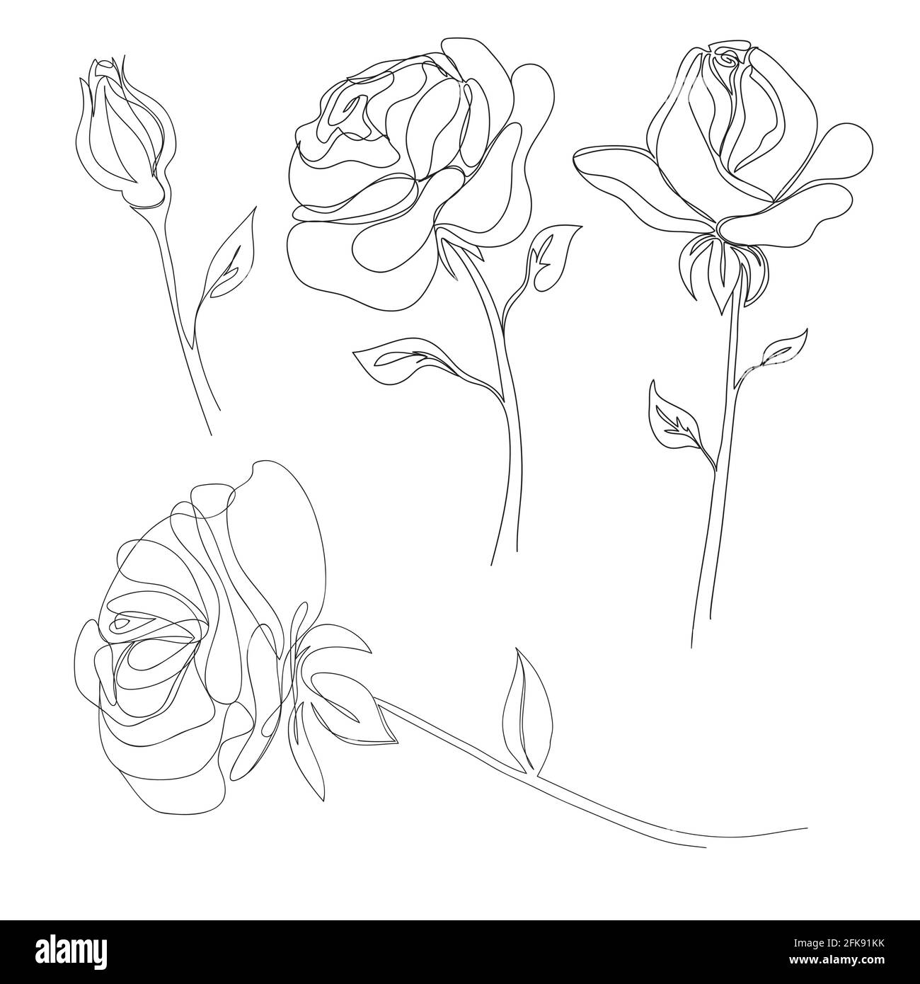 Continuous single-line drawing of a rose. Black and white vector ...