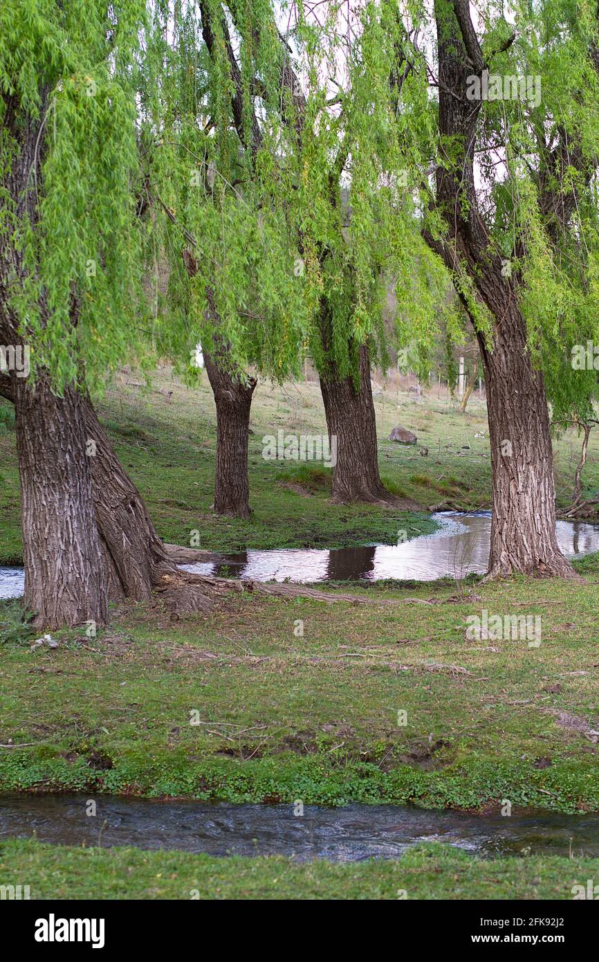 Winding stream hi-res stock photography and images - Alamy