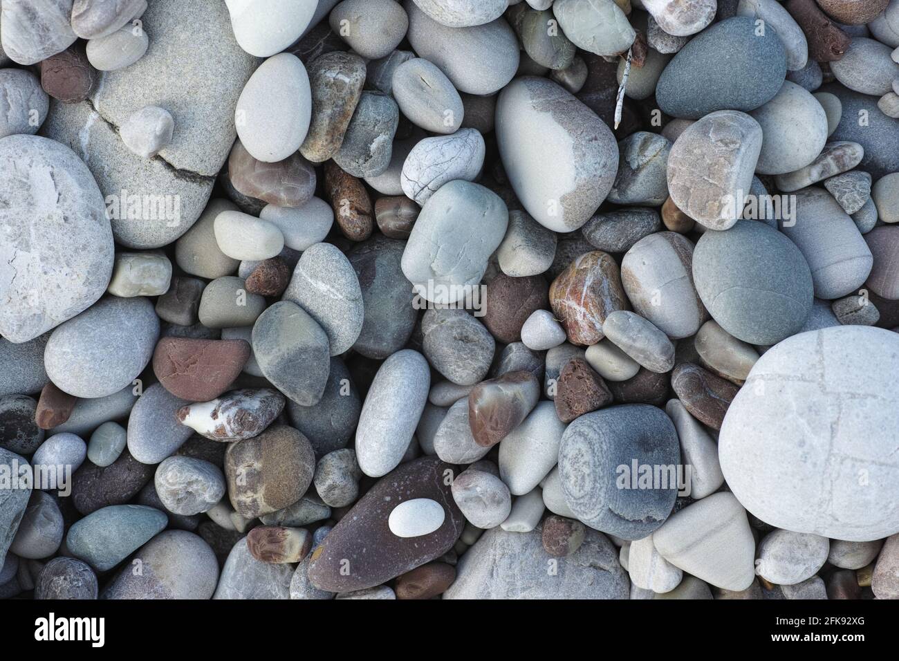 Pebbles on a beach. Background. Sea stone background. Close up Stock ...