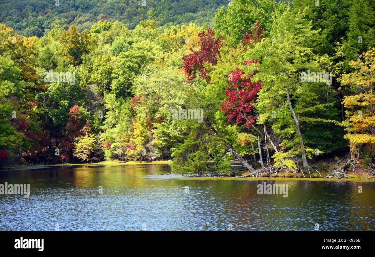 Most beautiful bays hi-res stock photography and images - Alamy