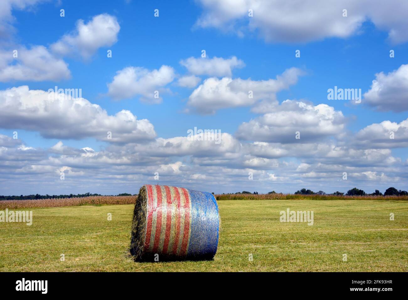 Large, round hay bale is wrapped to be patriotic. Red and blue circle ...
