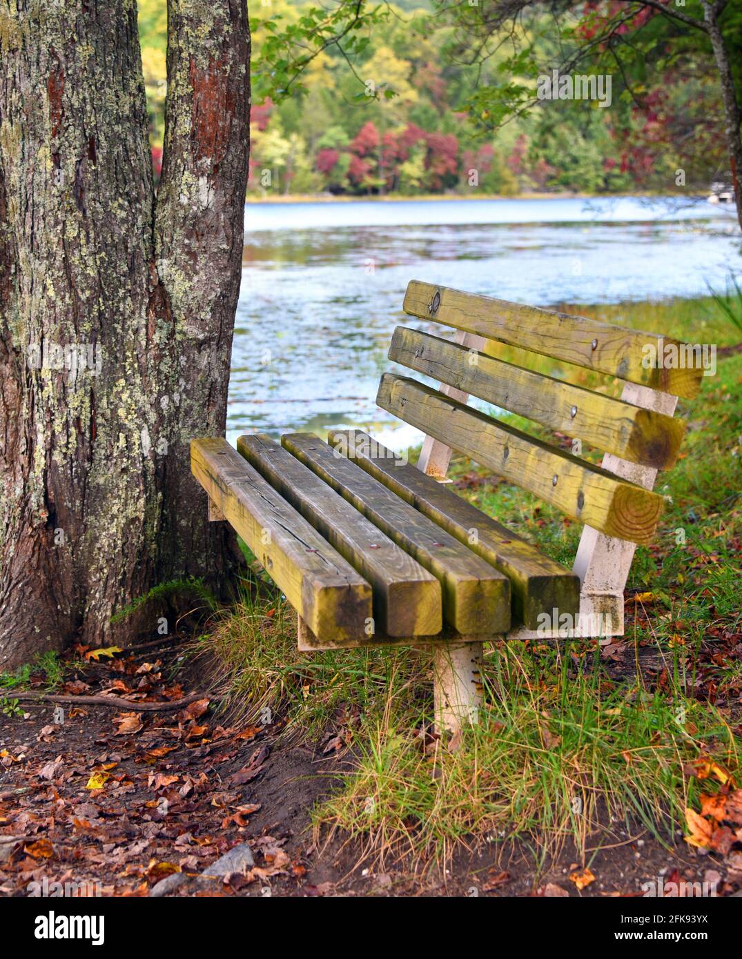 Secluded, wooden, bench sits besides Bays Mountain Lake in Bays ...