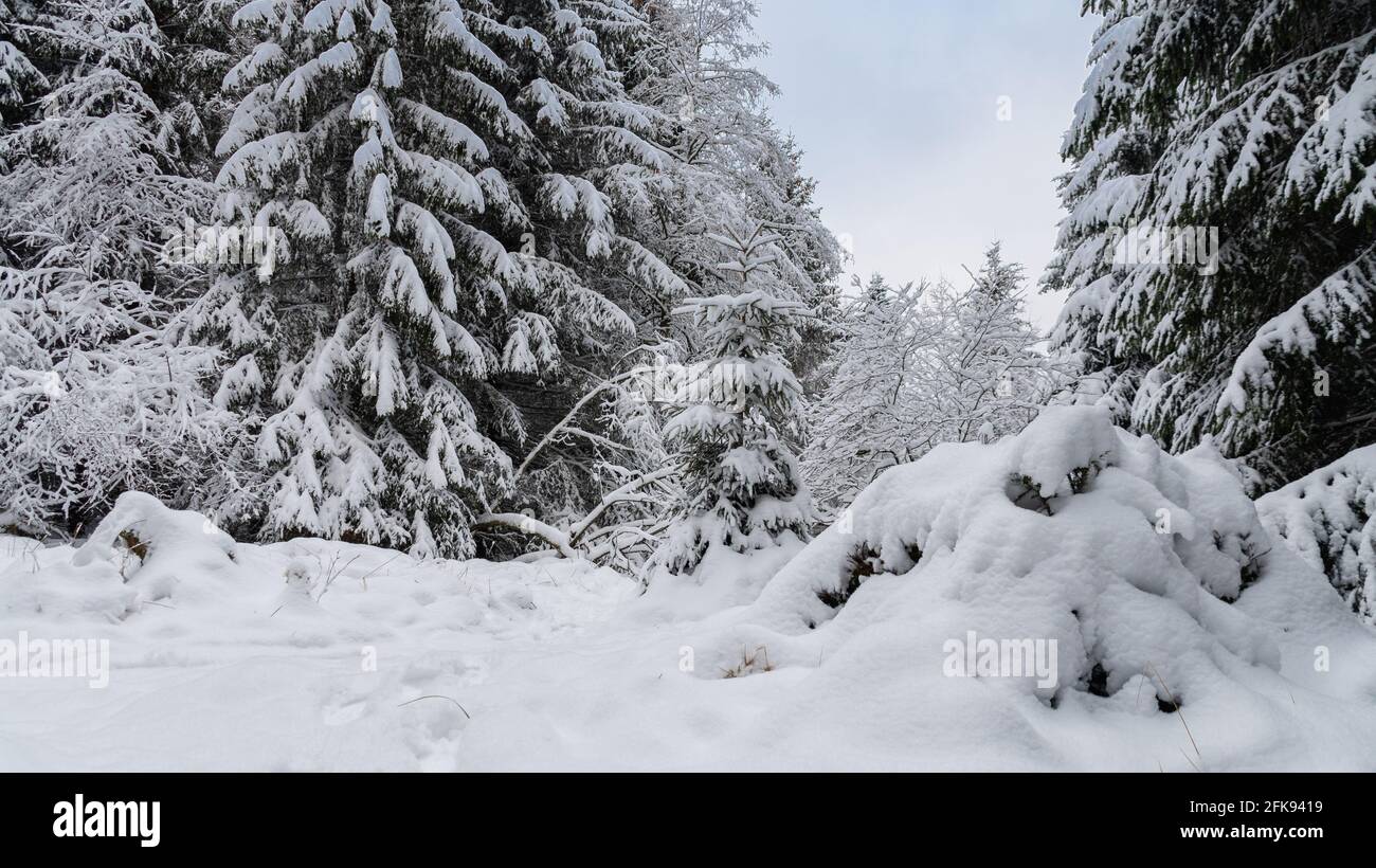 Winter time in Germany Stock Photo - Alamy