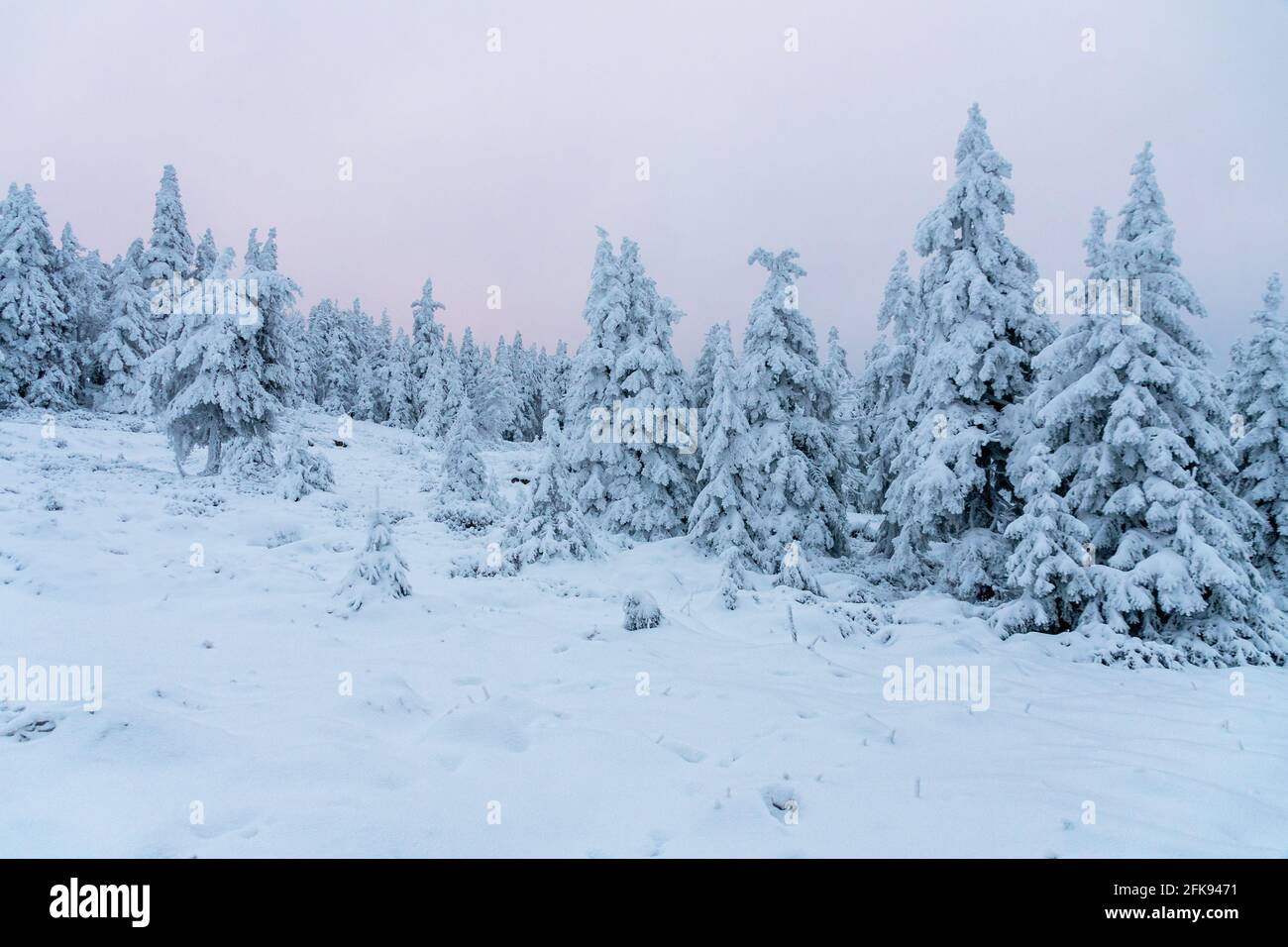 Winter time in Germany Stock Photo - Alamy