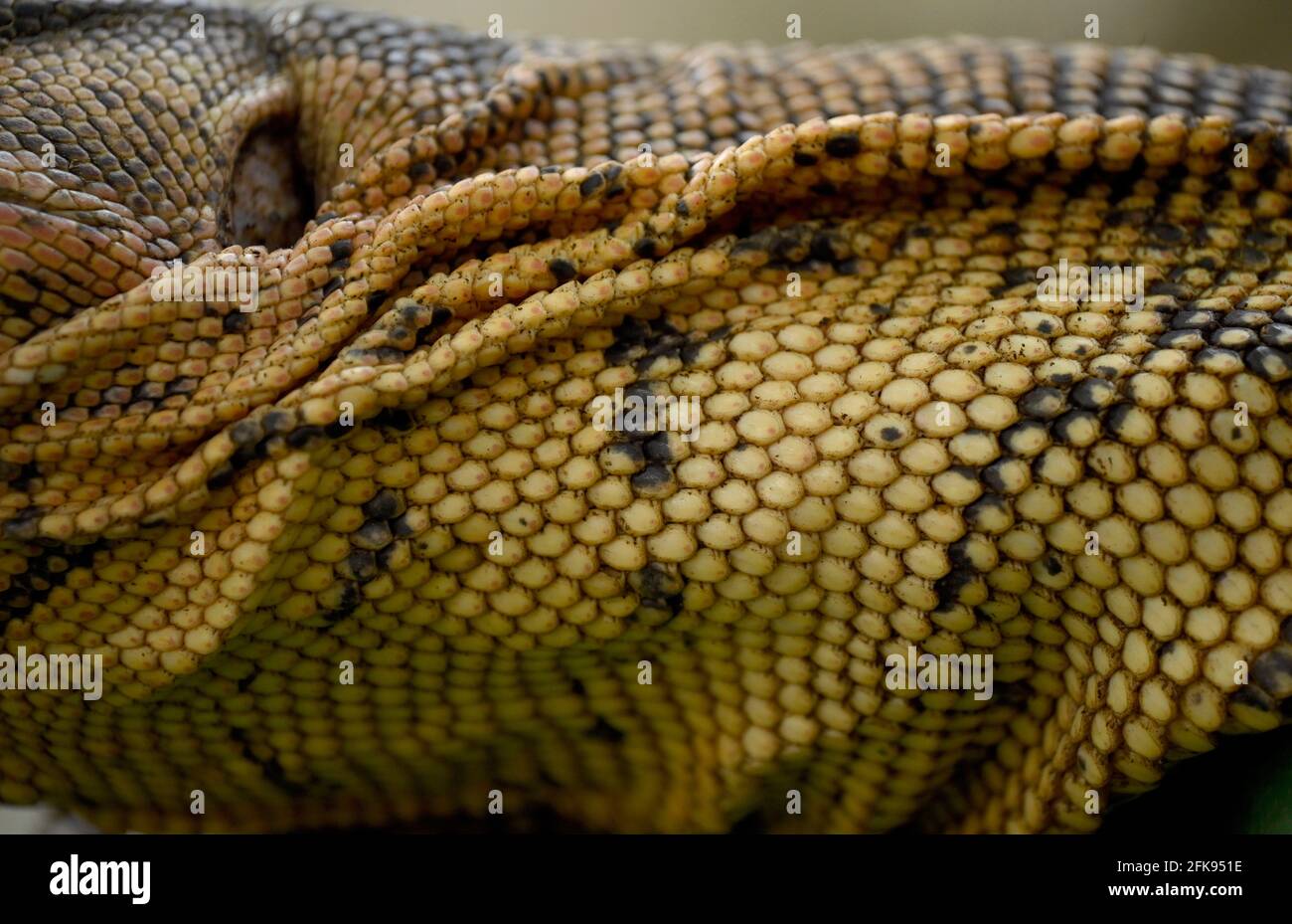 Bangkok, Thailand. 29th Apr, 2021. A close up of the texture of the ...