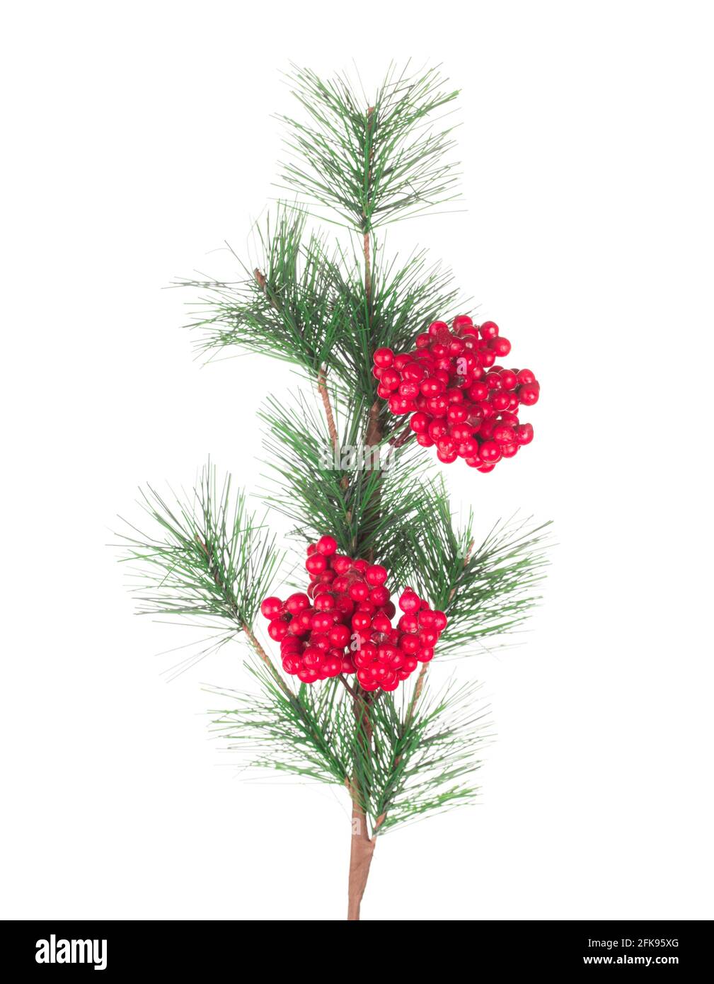 Man made pine branch hi-res stock photography and images - Alamy