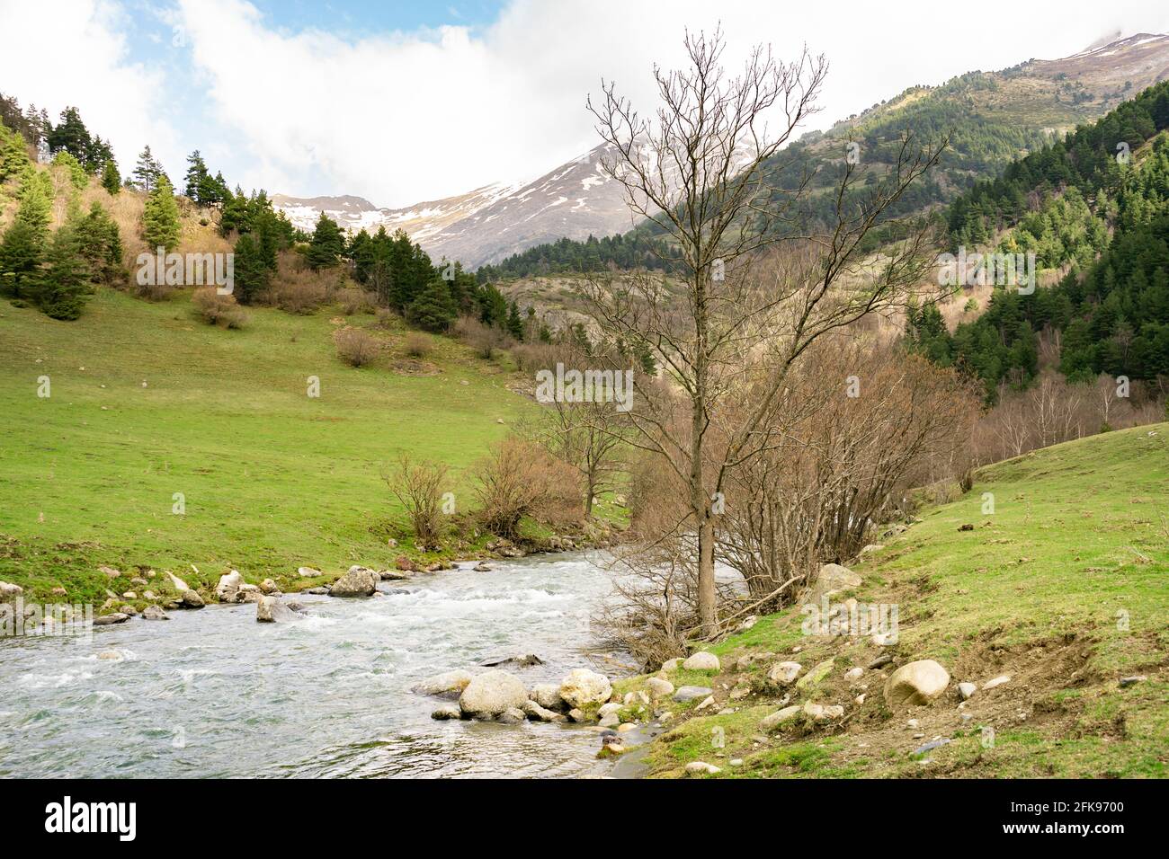 Beautiful mountain river landscape.Nature forest park background in ...