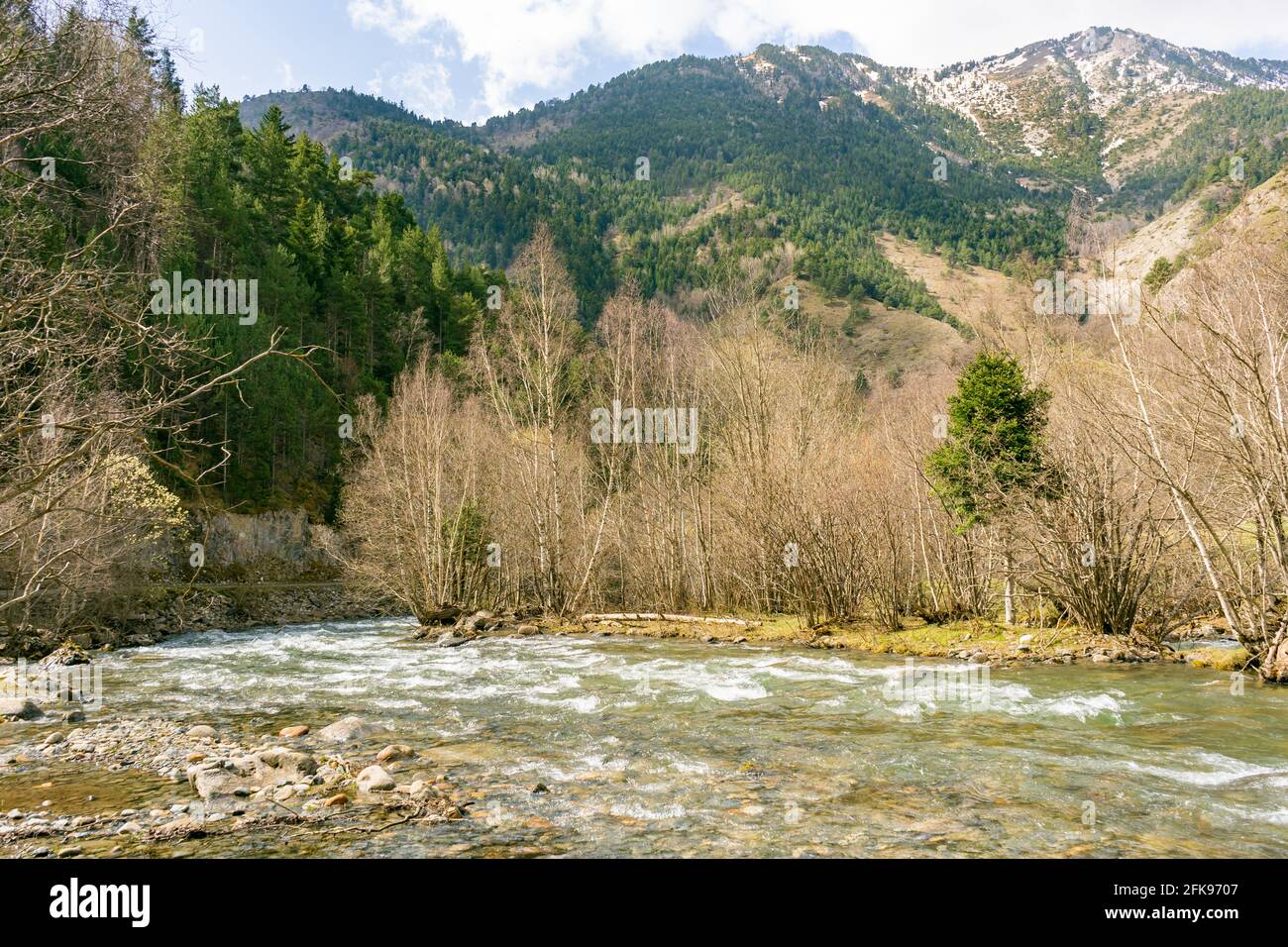 Beautiful mountain river landscape.Nature forest park background in ...