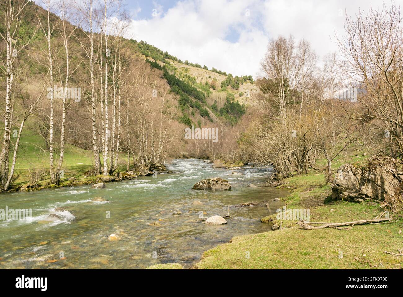 Beautiful mountain river landscape.Nature forest park background in ...