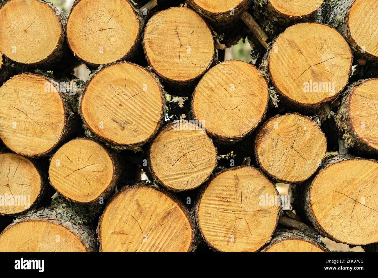 Pile as texture High Resolution Stock Photography and Images - Alamy