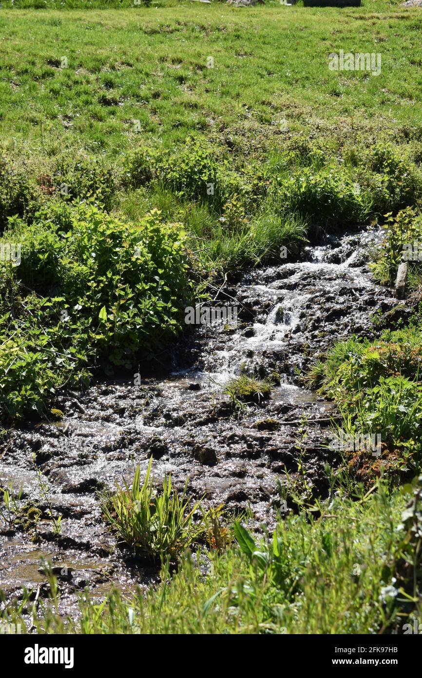 small water stream Stock Photo - Alamy