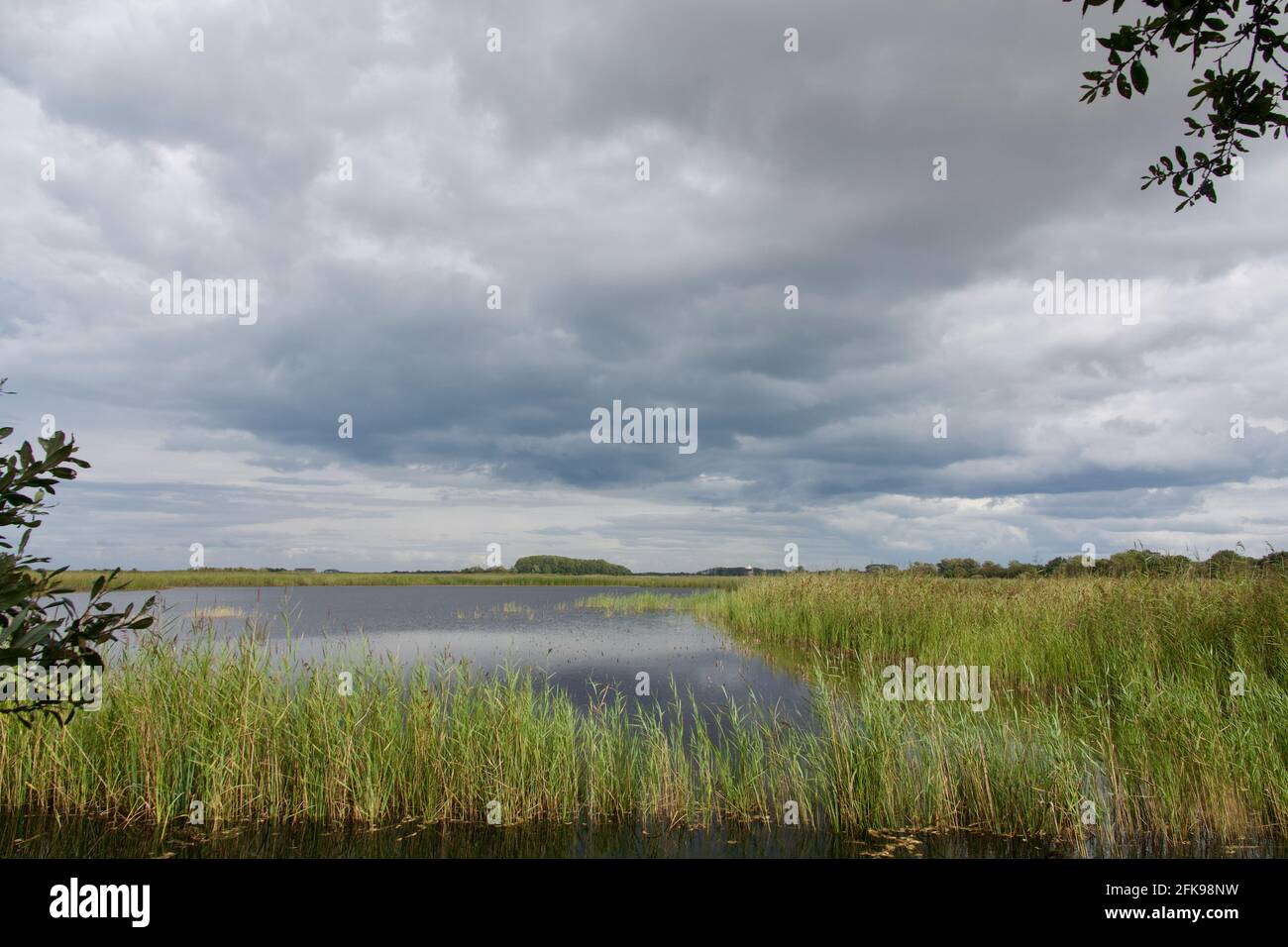 Martham norfolk hi-res stock photography and images - Alamy