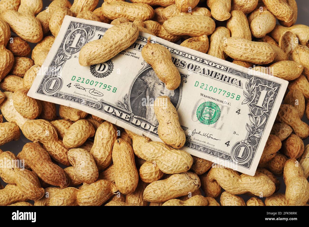 Dollar bill on top of a bed of peanuts Stock Photo - Alamy