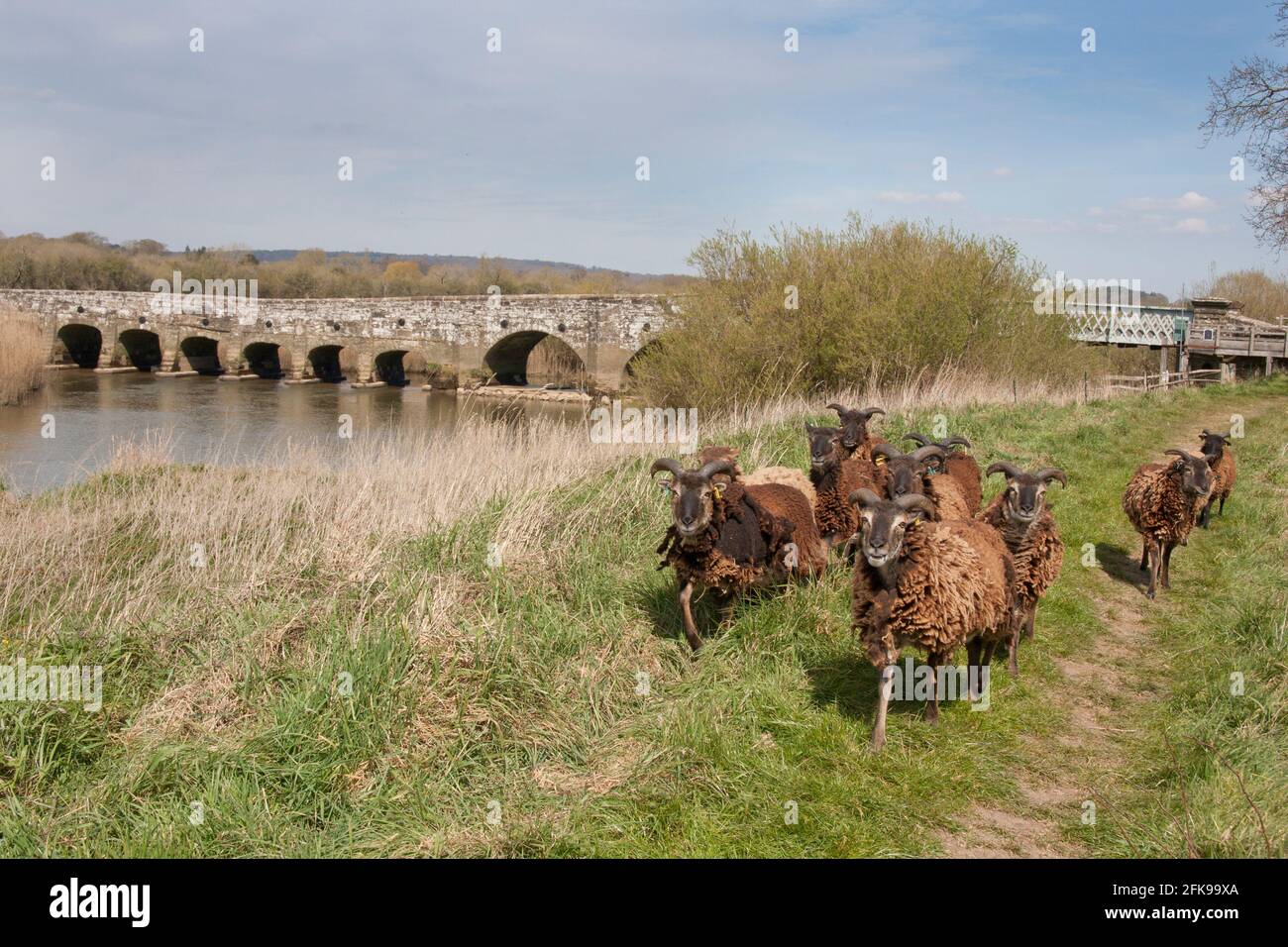England medieval stone bridge hi-res stock photography and images - Alamy