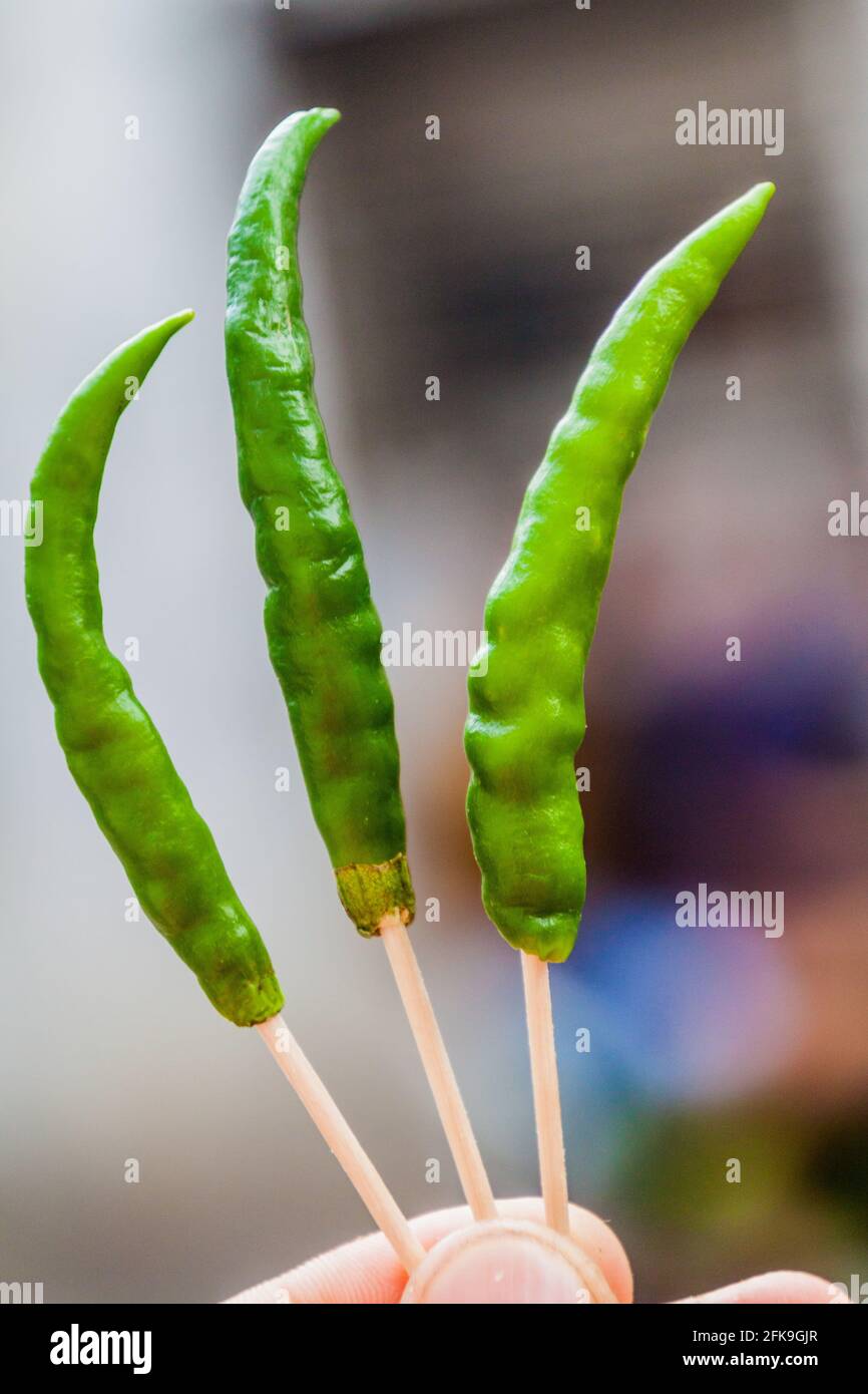 Chilli pepper on sticks in Kolkata, India Stock Photo - Alamy