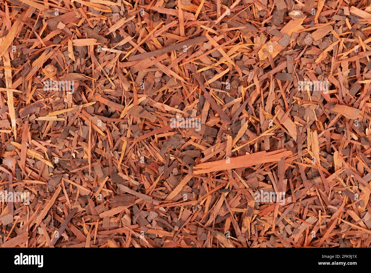Lapacho herbal tea background. Natural Taheeboo dry tea. Pau d'arco ...