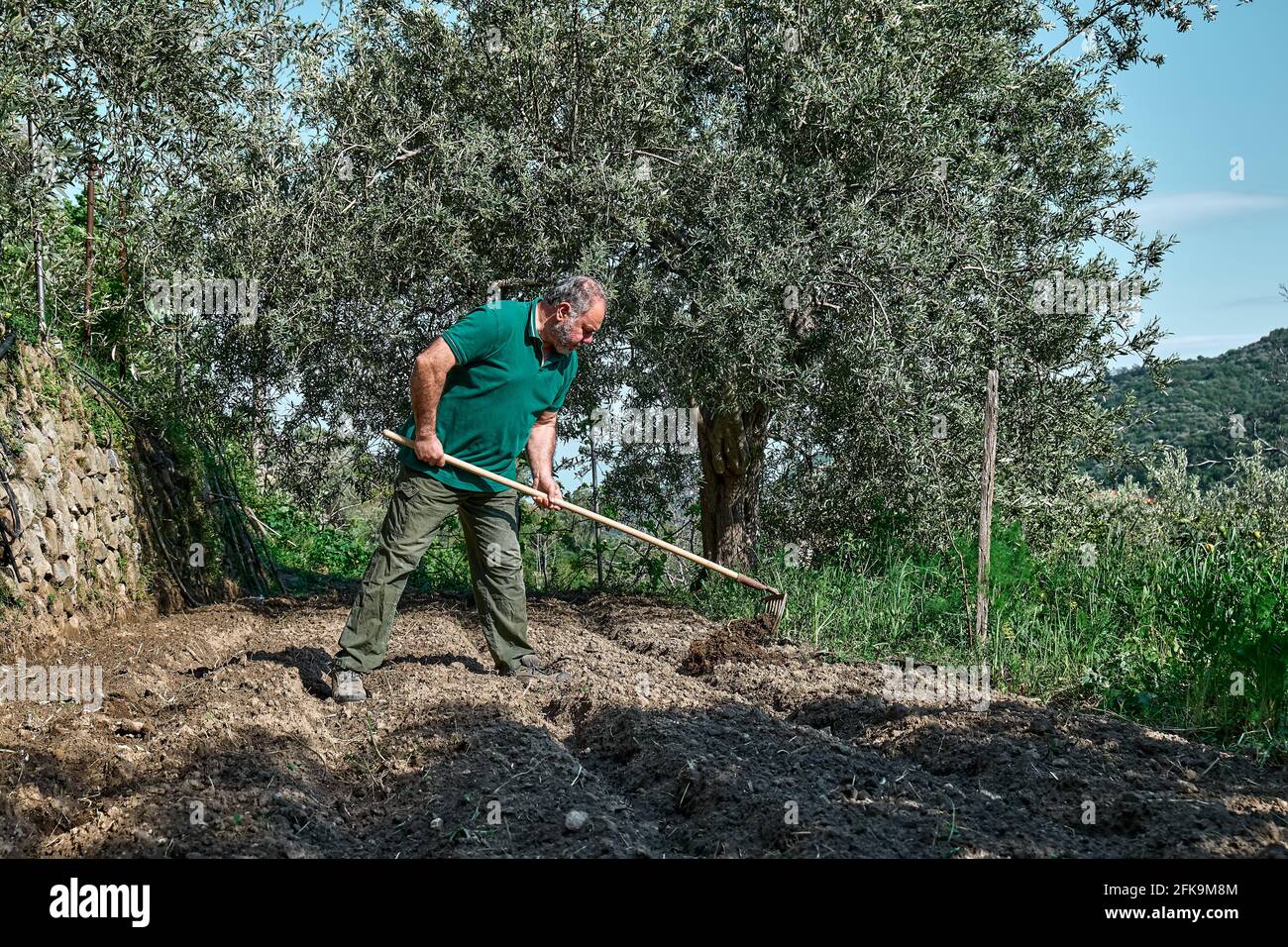 Rake and hoe hi-res stock photography and images - Alamy