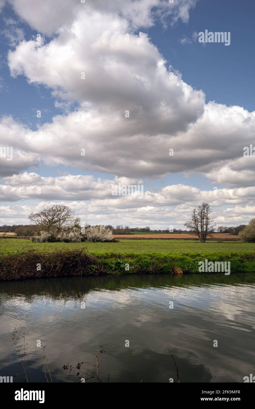 River Ouse and its bank with trees and flowering bushes in the fields ...