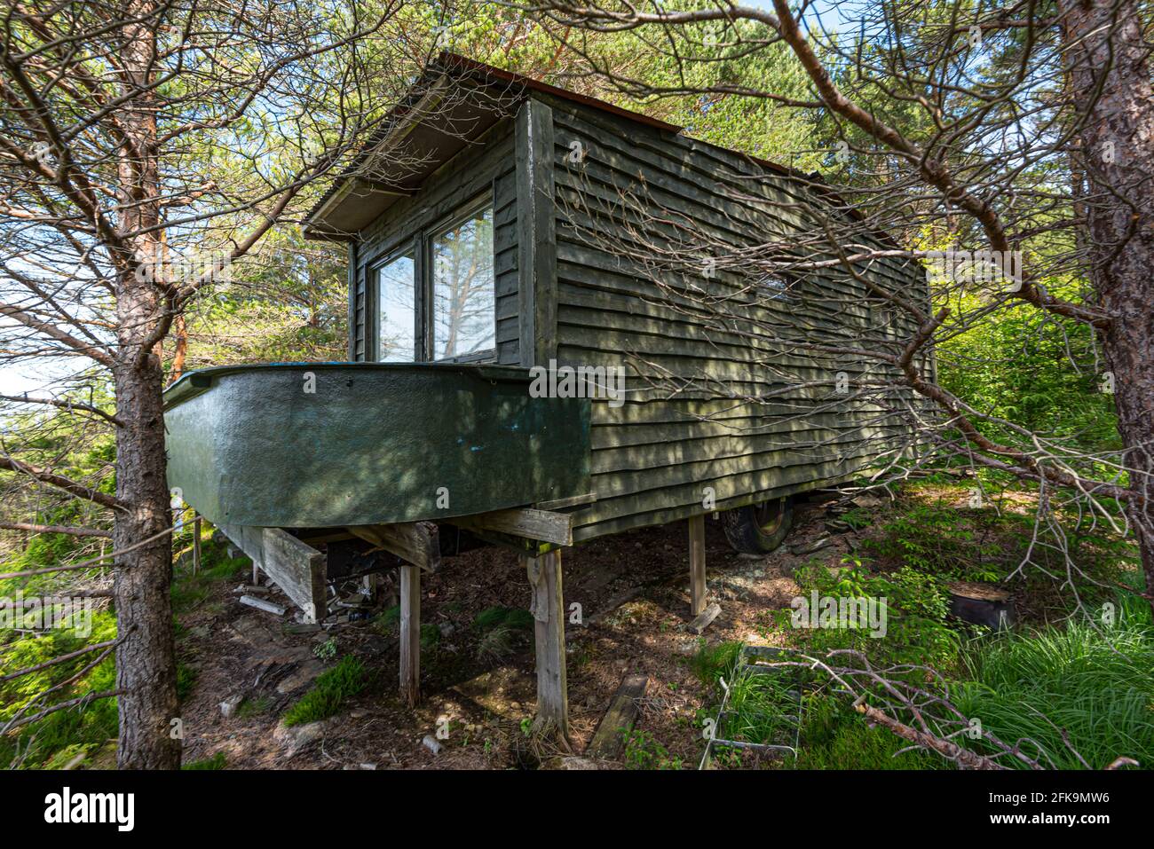 Abandoned green hut in the forest Stock Photo - Alamy