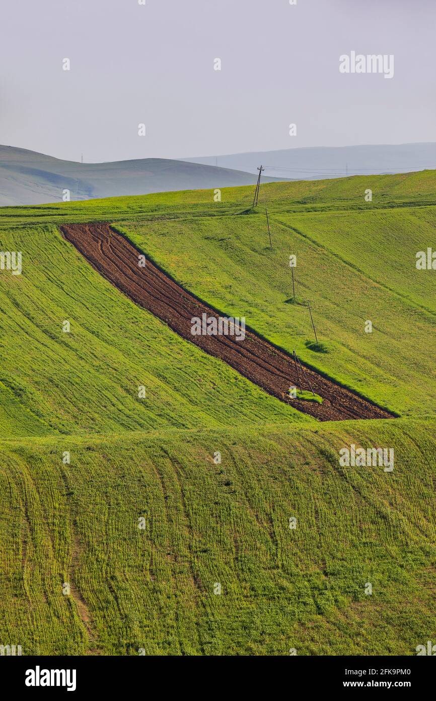 Plowed fields in spring with a condensed perspective Stock Photo - Alamy