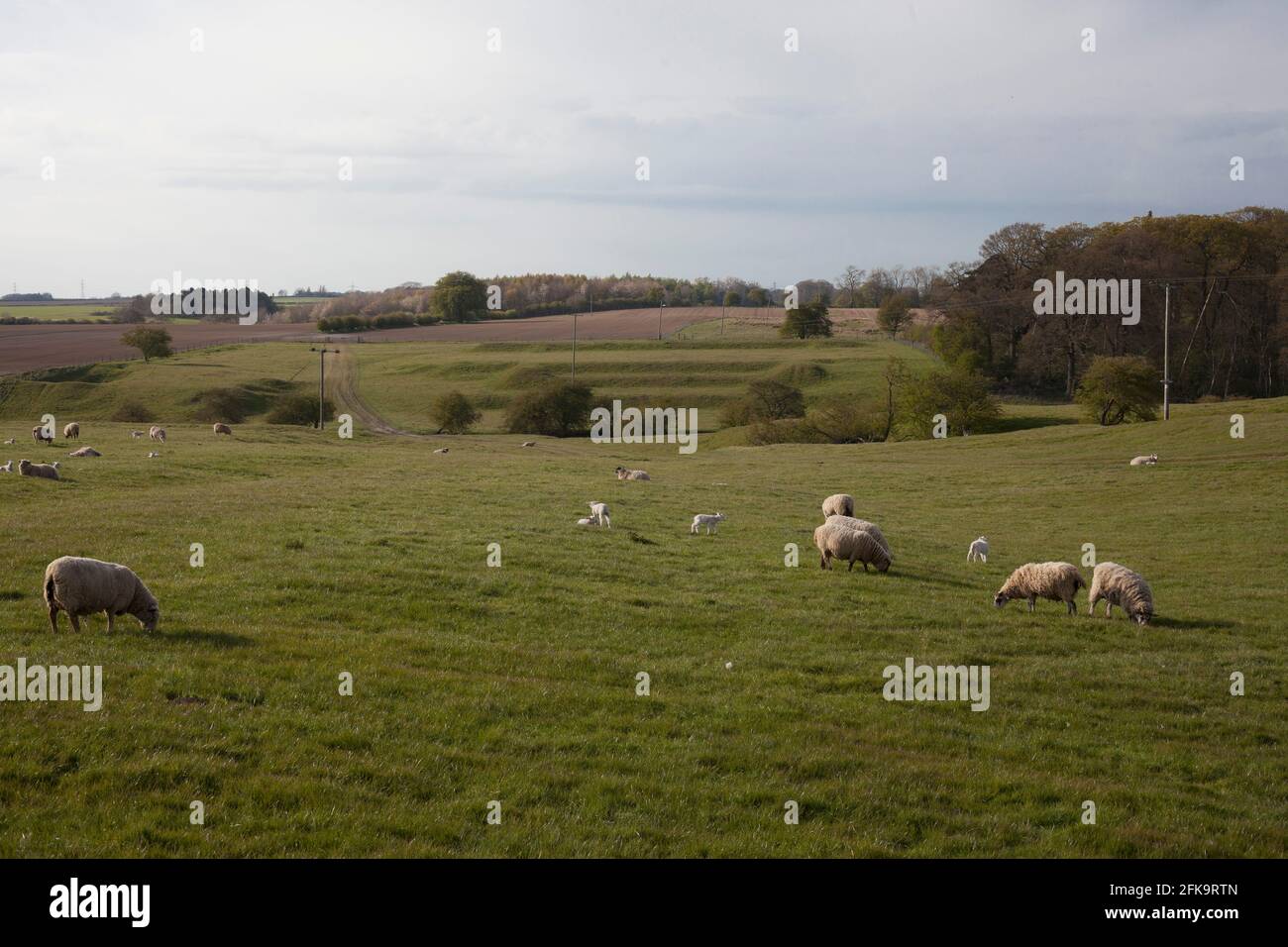Risby hi-res stock photography and images - Alamy