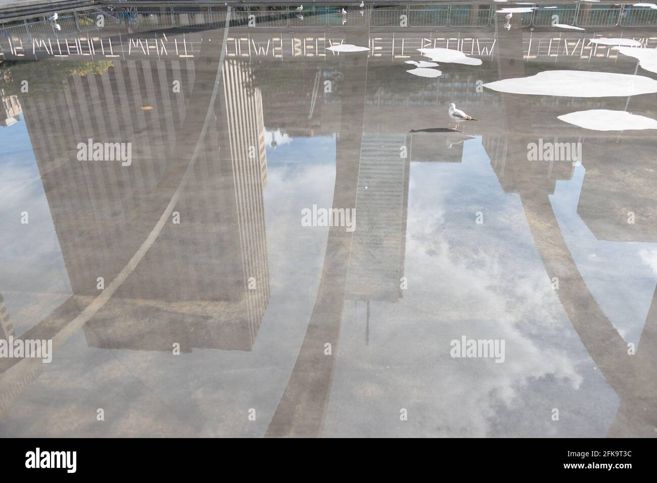 Nathan Phillips Square reflecting pool and arches - with Nuit Blanche ...