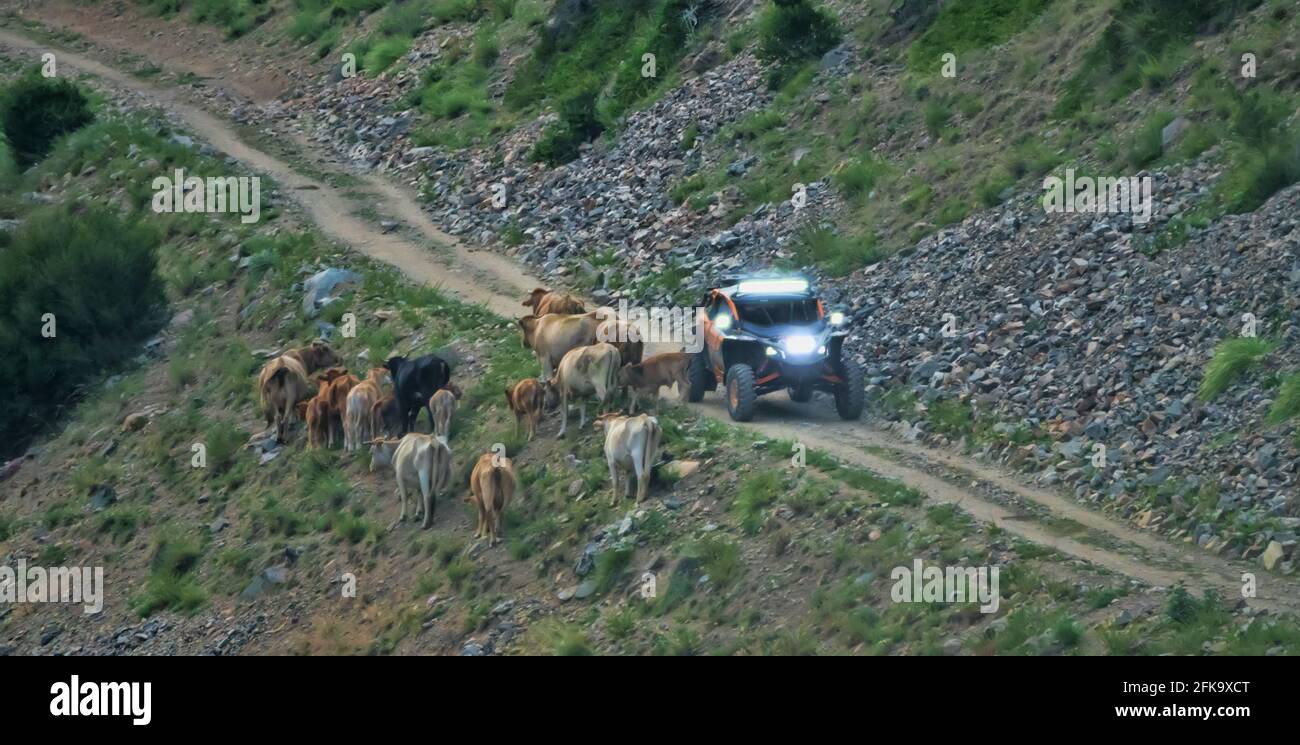 Buggy car (goes over all terrain) rides on a mountain road (alpine path ...
