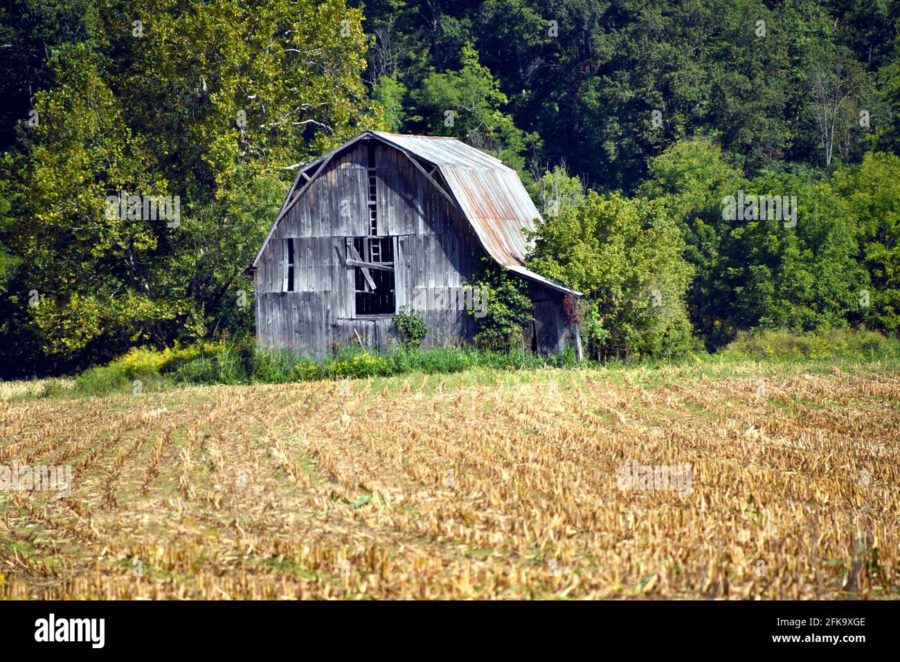 Rustic wooden corn barn hi-res stock photography and images - Alamy