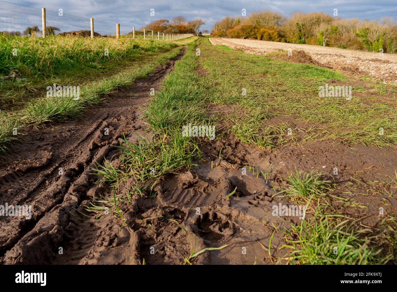 Rain sodden footpath / bridleway / track in the South Downs National ...