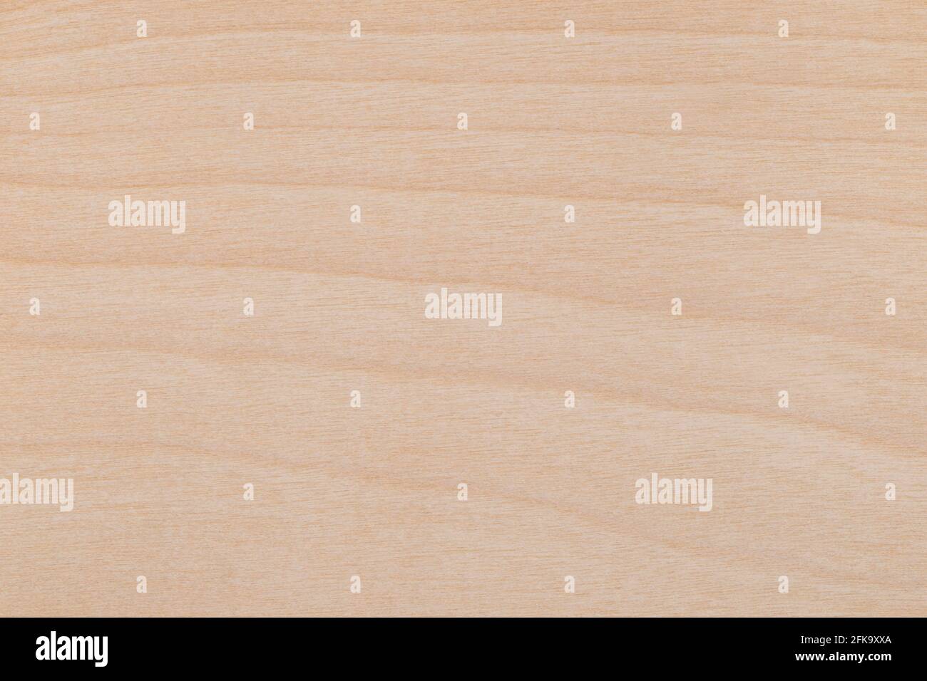 Texture of Birch Wood veneer Stock Photo - Alamy
